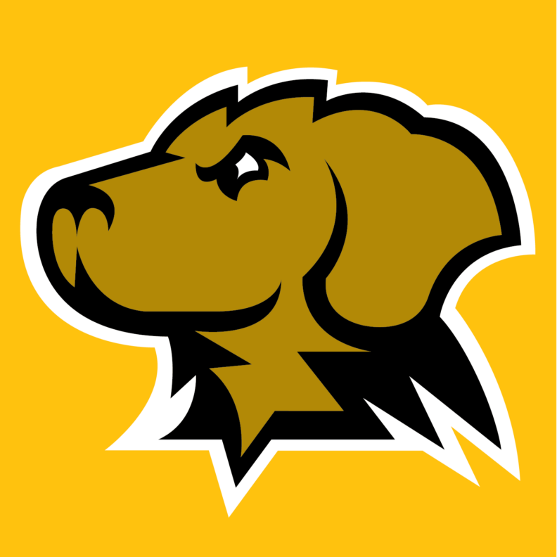 Executive Operations – Student Government Association – UMBC